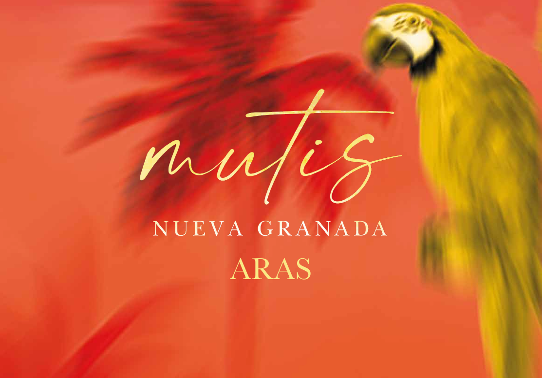 MUTIS - Desaar.it